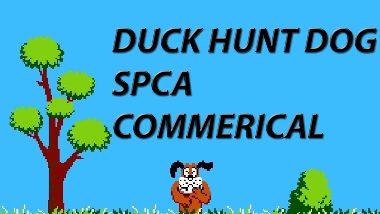 Duck Hunt SPCA Commercial (Sad Dog Commercial) SSB4 - YouTube