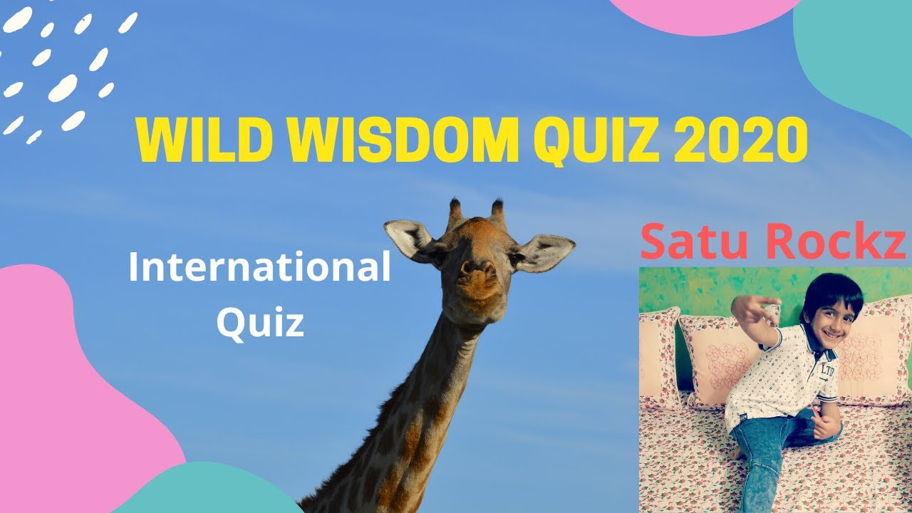India's only International Wildlife Quiz - Wild Wisdom Quiz 2020 - YouTube