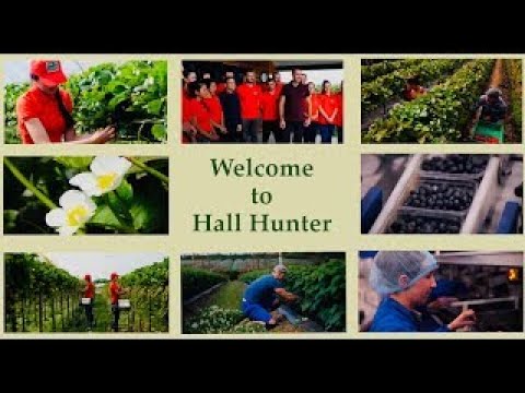 HHP PROFILE VIDEO - YouTube