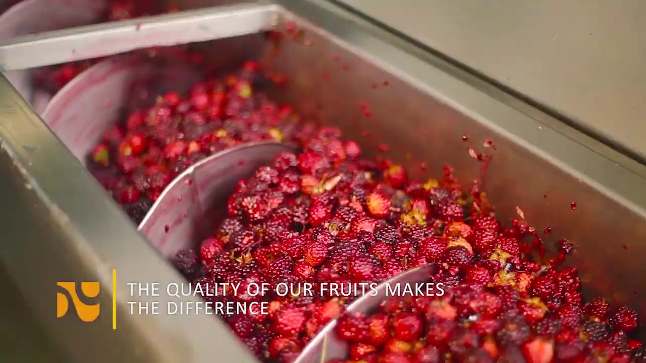 Agrofrut - Frozen fruit puree - English - YouTube