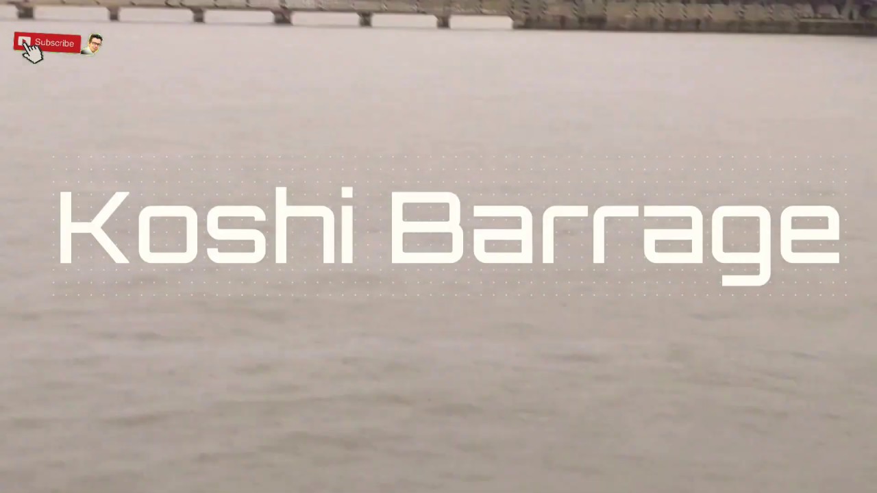 Koshi river | koshi Barrage | koshi bridge | flood in koshi today ...