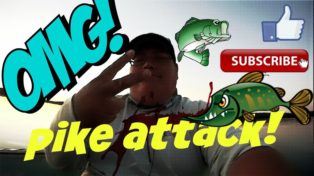 Fishing for Pike | Little lake Barrie - YouTube