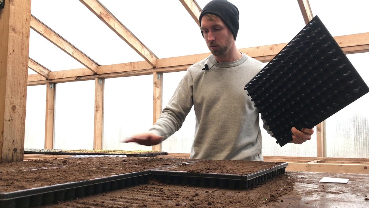 ÅRETS FØRSTE SÅNING AF SALAT - lidt om sorter og udstyret - YouTube