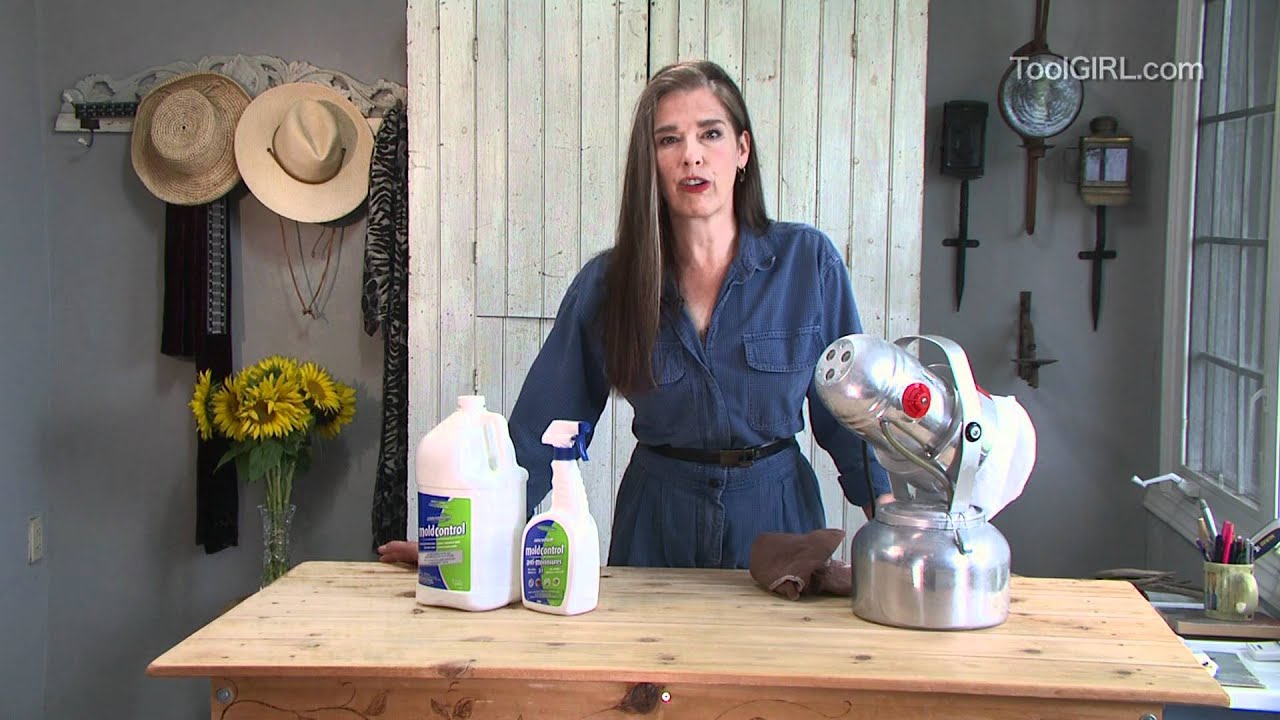 ToolGirl Mag Ruffman - Eradicating mold and mildew forever (non-toxic ...