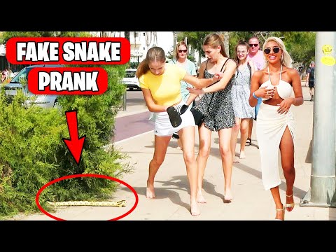 Epic Snake Prank - Funniest Reactions