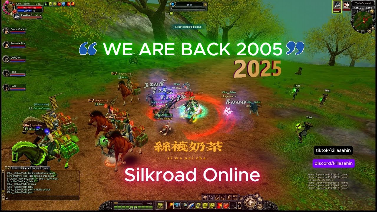 Silkroad Online Back to 2005 -2025 ! - YouTube