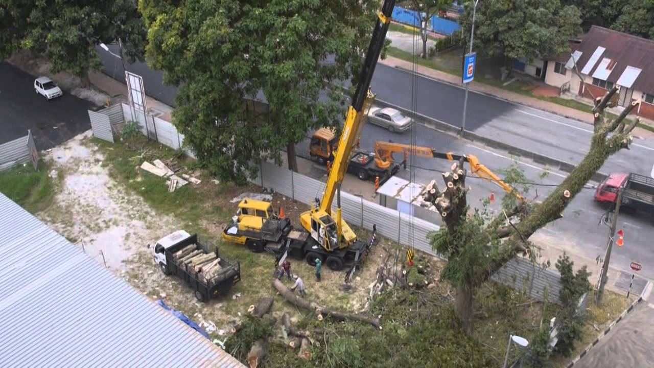 A Cleaner Greener Penang - Why this then? - YouTube