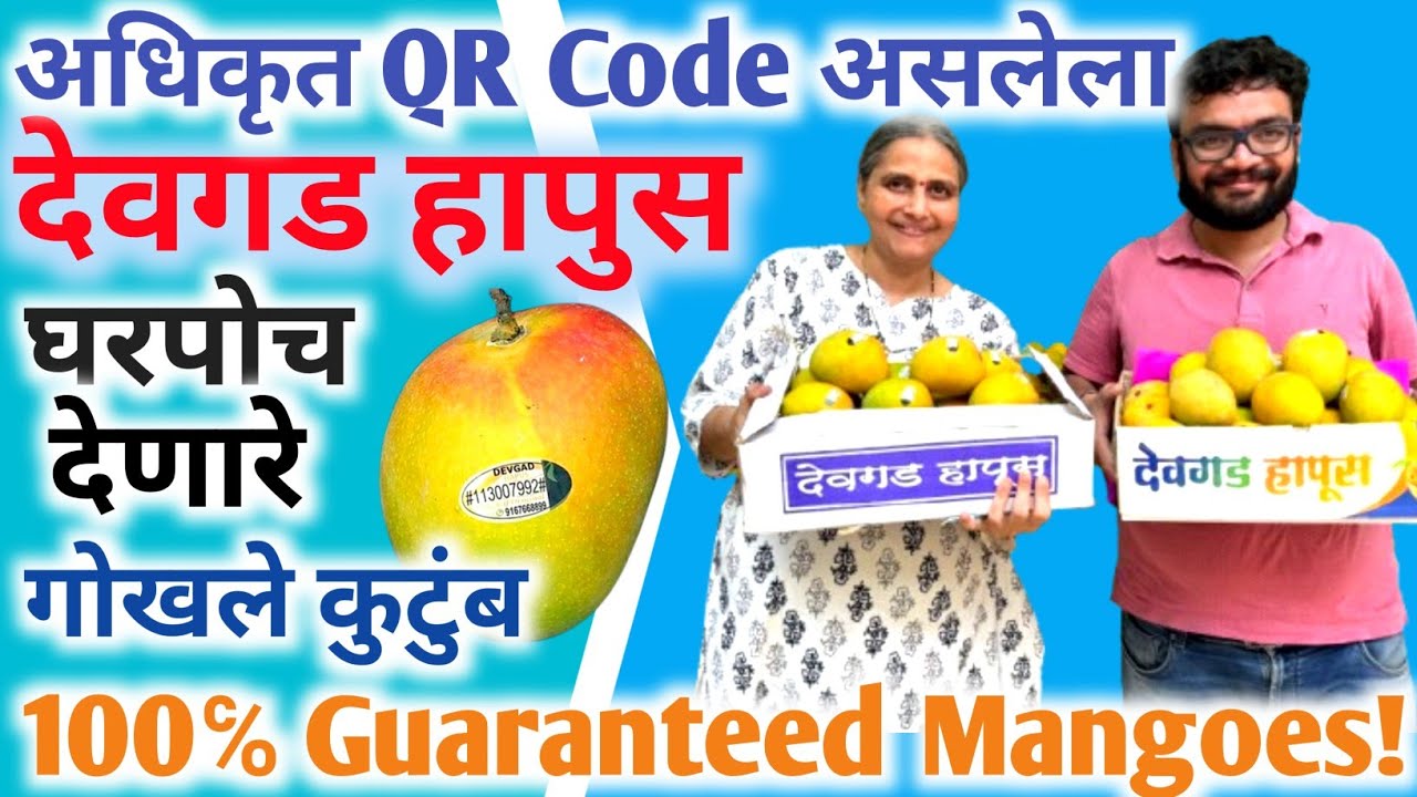 Devgad Alphonso Mango With QR Code असलेला जगप्रसिद्ध देवगडचा हापूस🥭 ...