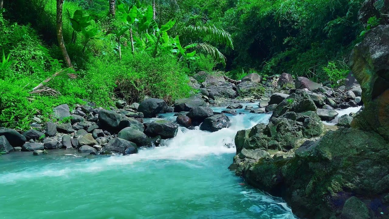 Water Stream Vibe for Rest and Relaxation | sleep - relax - enjoy life ...