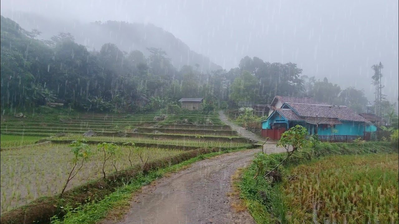 rain in rural indonesia | a perfect place to live | rain sounds for ...
