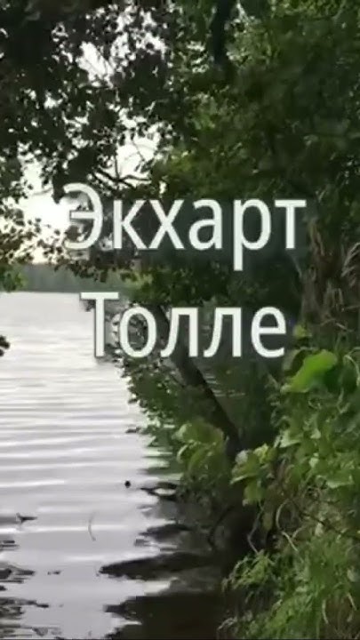 Тишина - твоя суть. Э. Толле из книги «О чём говорит тишина». - YouTube
