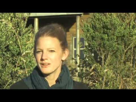 Chile - Der Tumbespark von Talcahuano.m4v