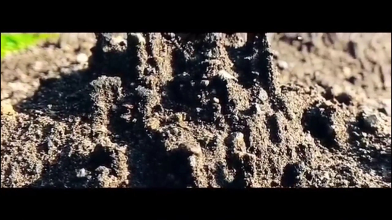 Nature Hight Ground | Cinematic Video | Clutic - YouTube