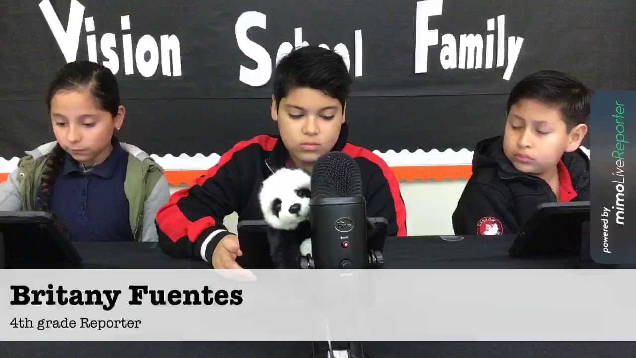 Emily Galvan Live Stream - YouTube