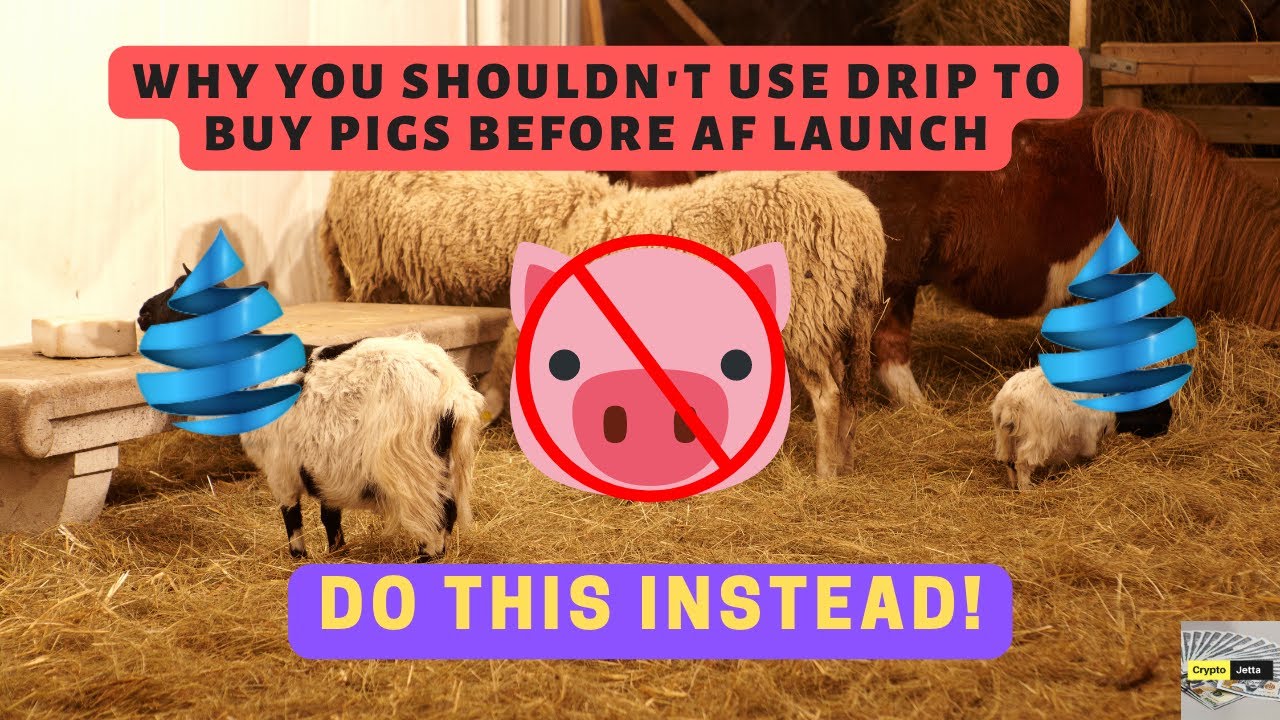 Why you shouldn't purchase PIGS with DRIP. Do this instead! - YouTube
