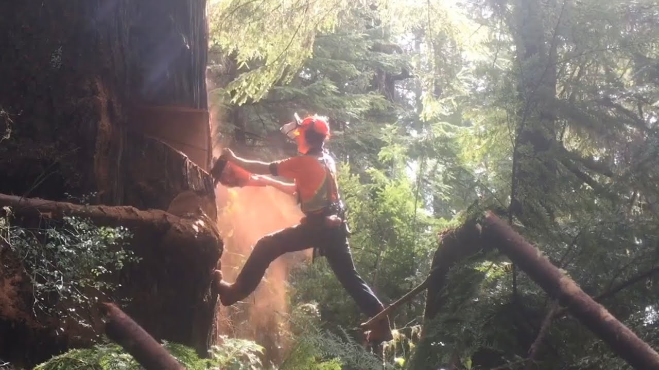 Wedging some wood - YouTube