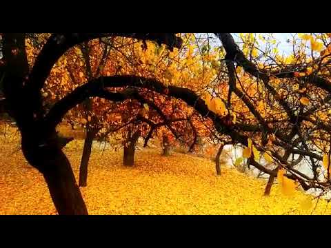 Autumn in Baltistan