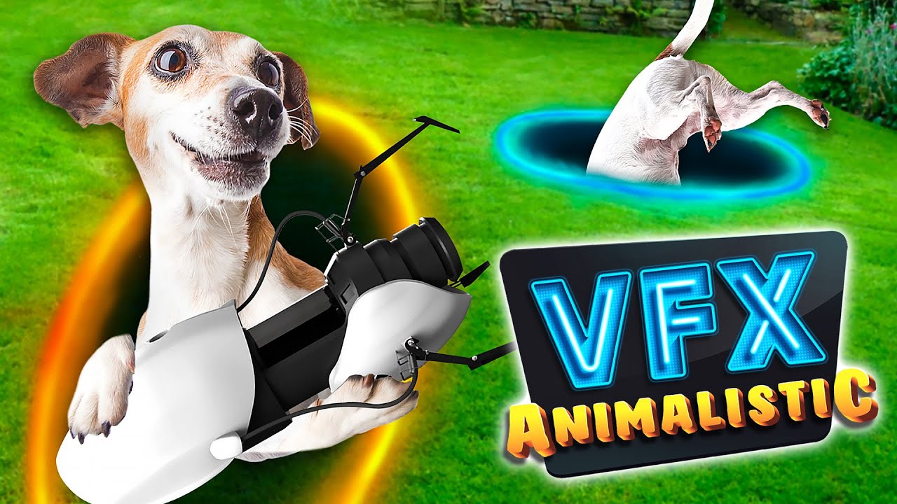 REAL ANIMALs and THINGs & VFX - YouTube