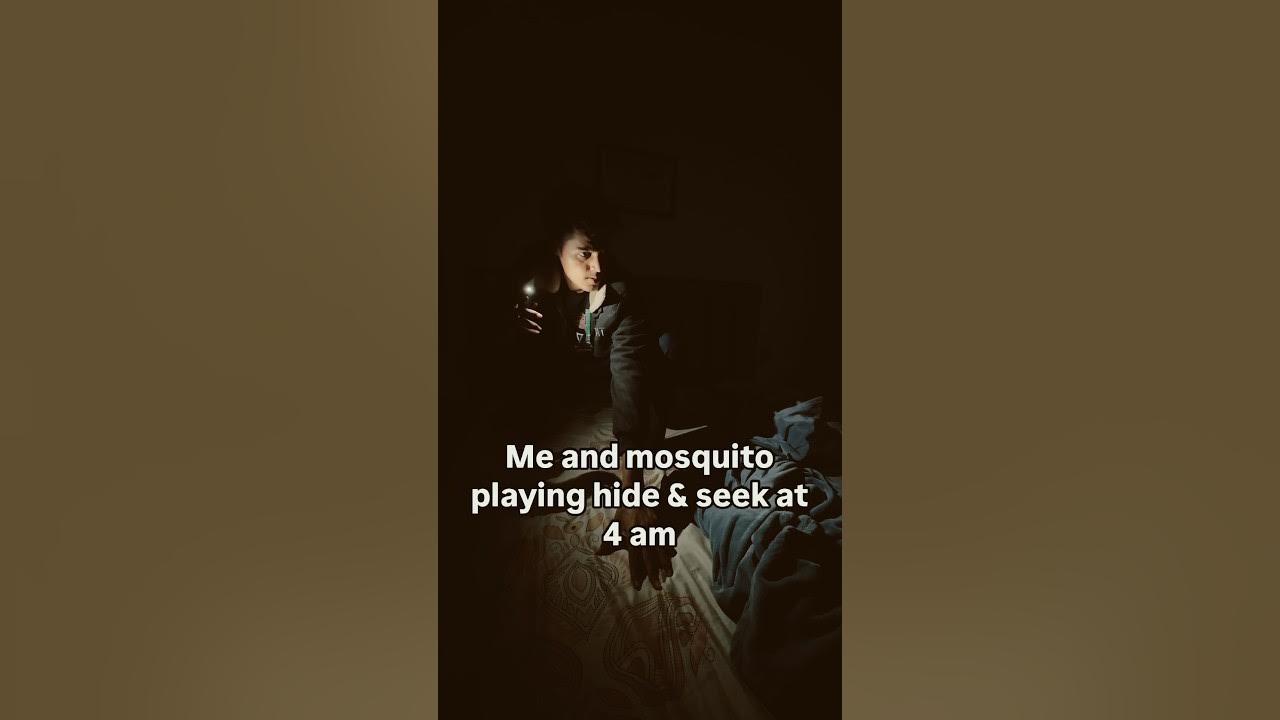 Me & mosquito at 4am🤝👀 - YouTube