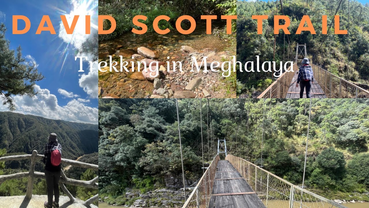 David Scott Trail - Half Trek | Mawphlang | Meghalaya - YouTube
