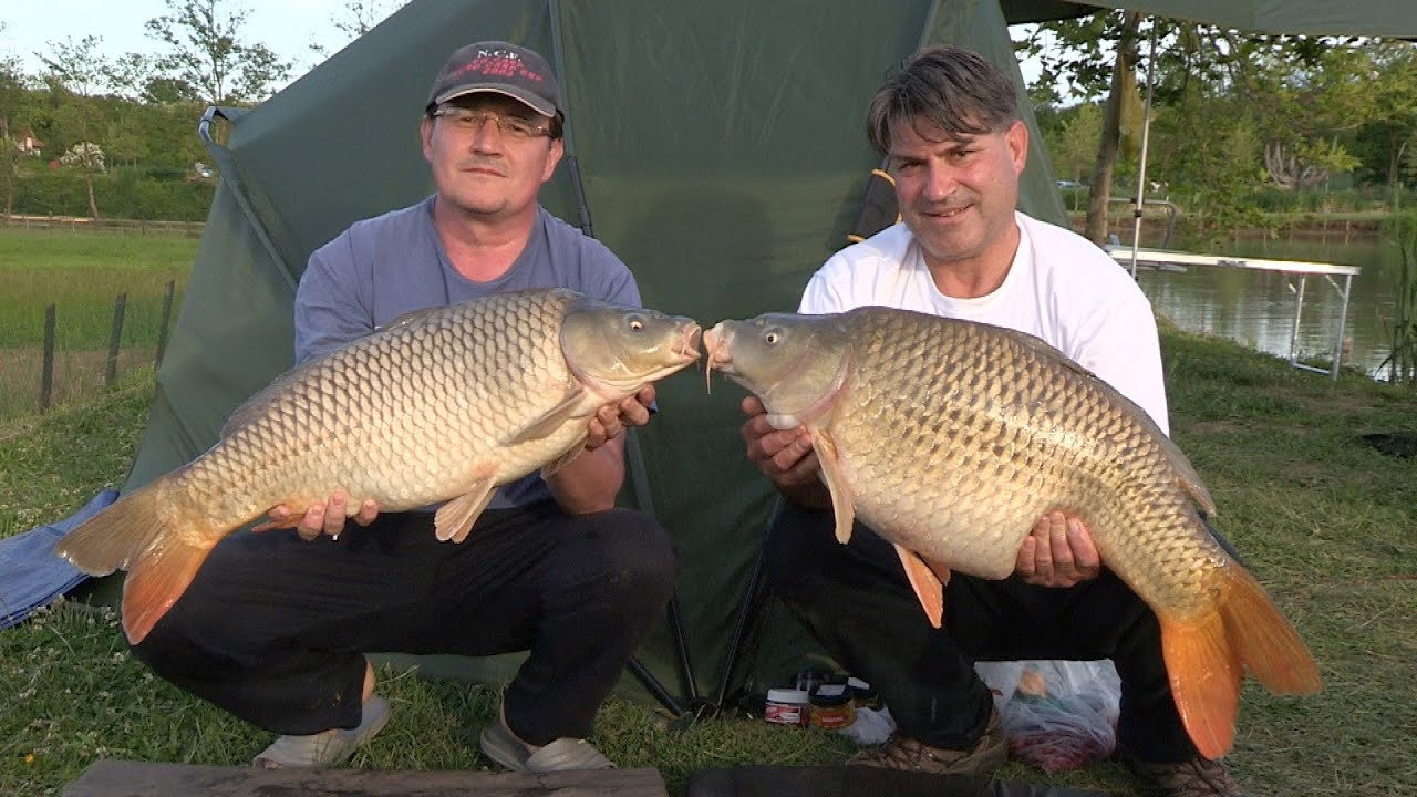 Pecanje šarana u Samaili - Takmičenje I deo | Fishing Carp - YouTube