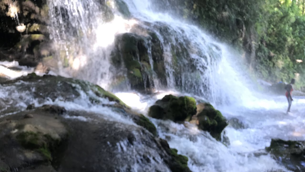 Lwa Simbi resevwa HollyPlus fizikman nan lakou kay lwa Saut D’Eaut ...