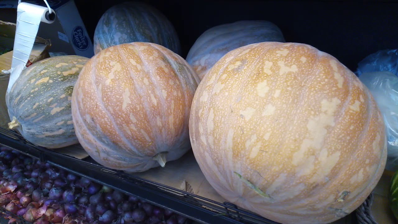 Amazing Pumpkins from India - YouTube