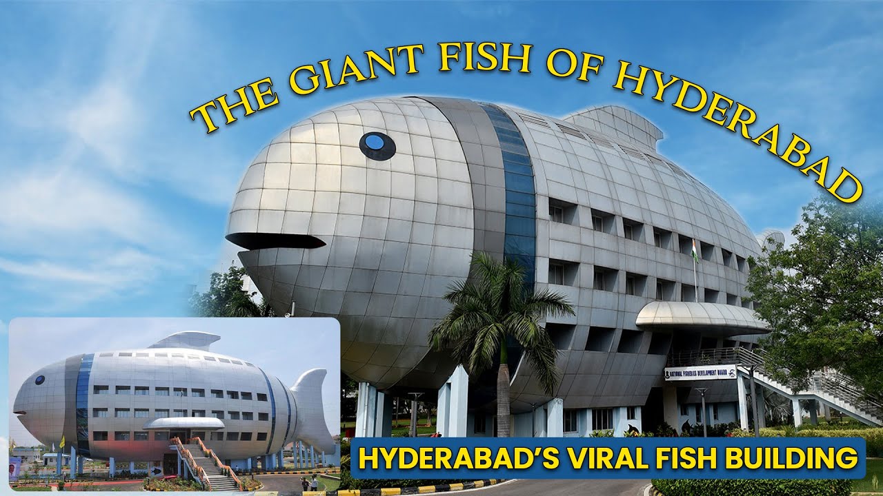 Beautiful Fish Building In Hyderabad NFDB - YouTube