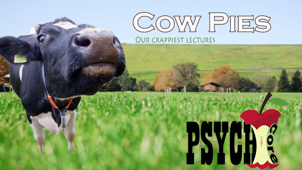 Cow Pies 17: Fading - Poop -- Manure - YouTube