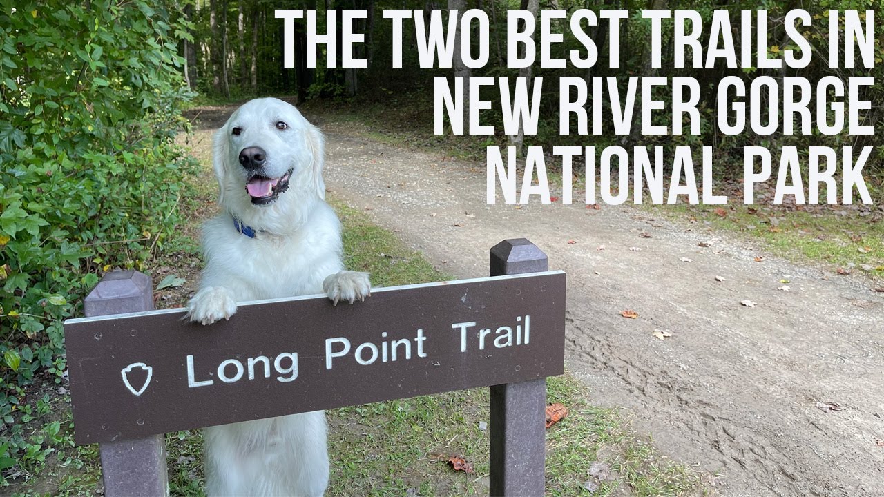 The Two Best Hikes in New River Gorge National Park // West Virginia ...