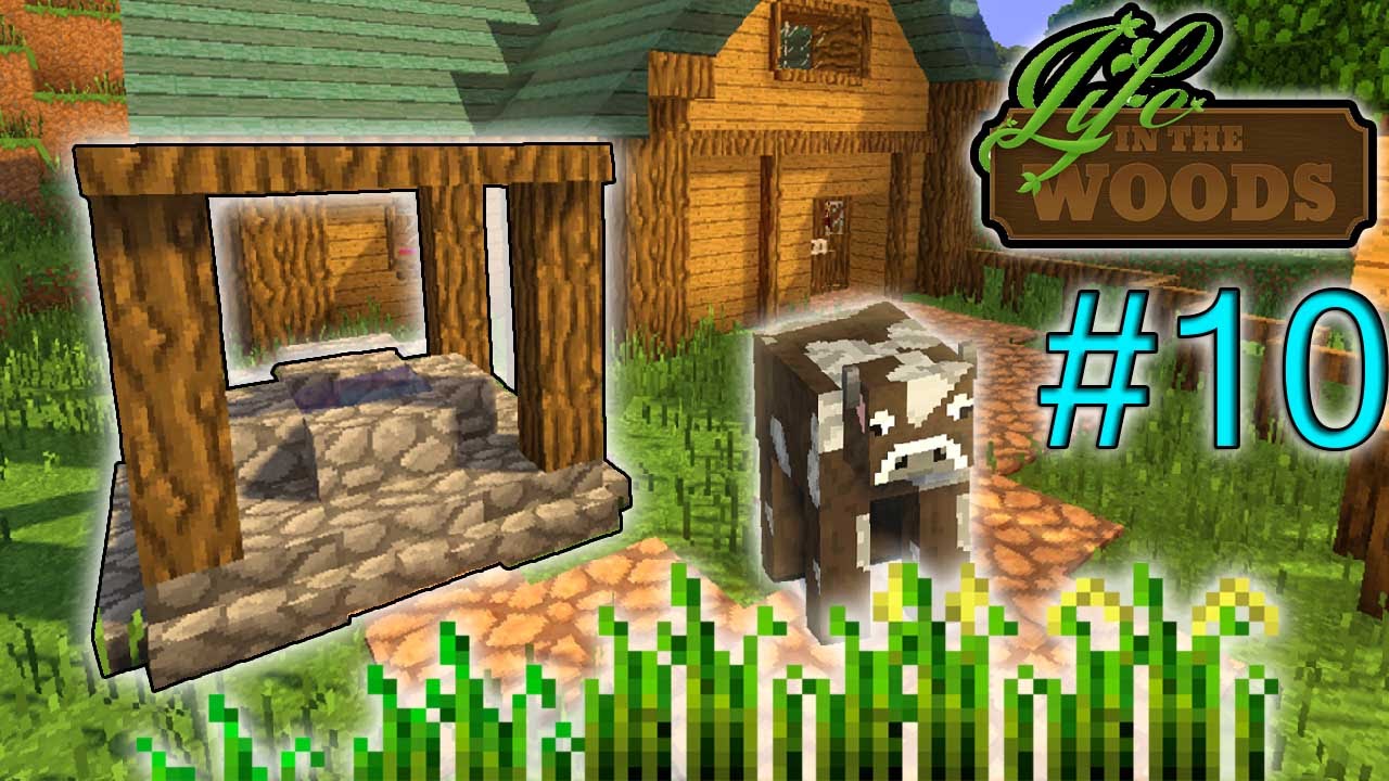 SEMENTES, VACAS e POÇO! - Life In The Woods #10 - Minecraft - YouTube
