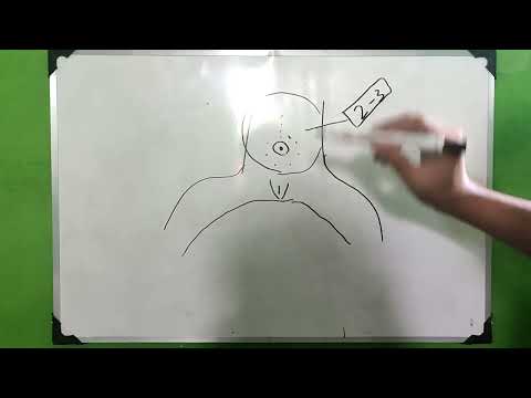 Cara Menjilat Miss V agar Sangat Nikmat penuh gairah.. Suami dan Istri wajib tahu