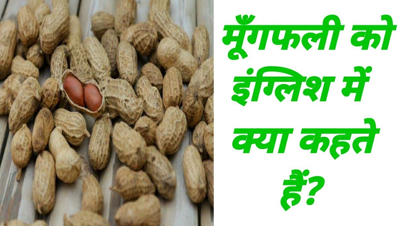 what is mungfali called in english | मूंगफली ki english meaning ...