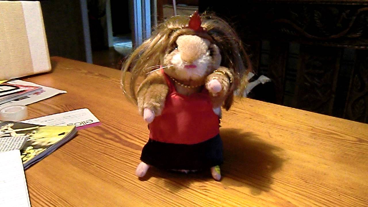 Dancing Queen Hamster - YouTube