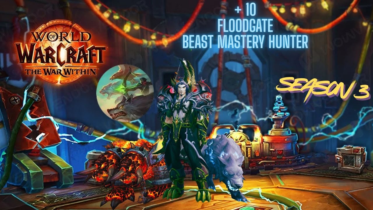 11.2 Beast Mastery Hunter (BM Hunter) is BIG FUN | Packleader | +10 ...