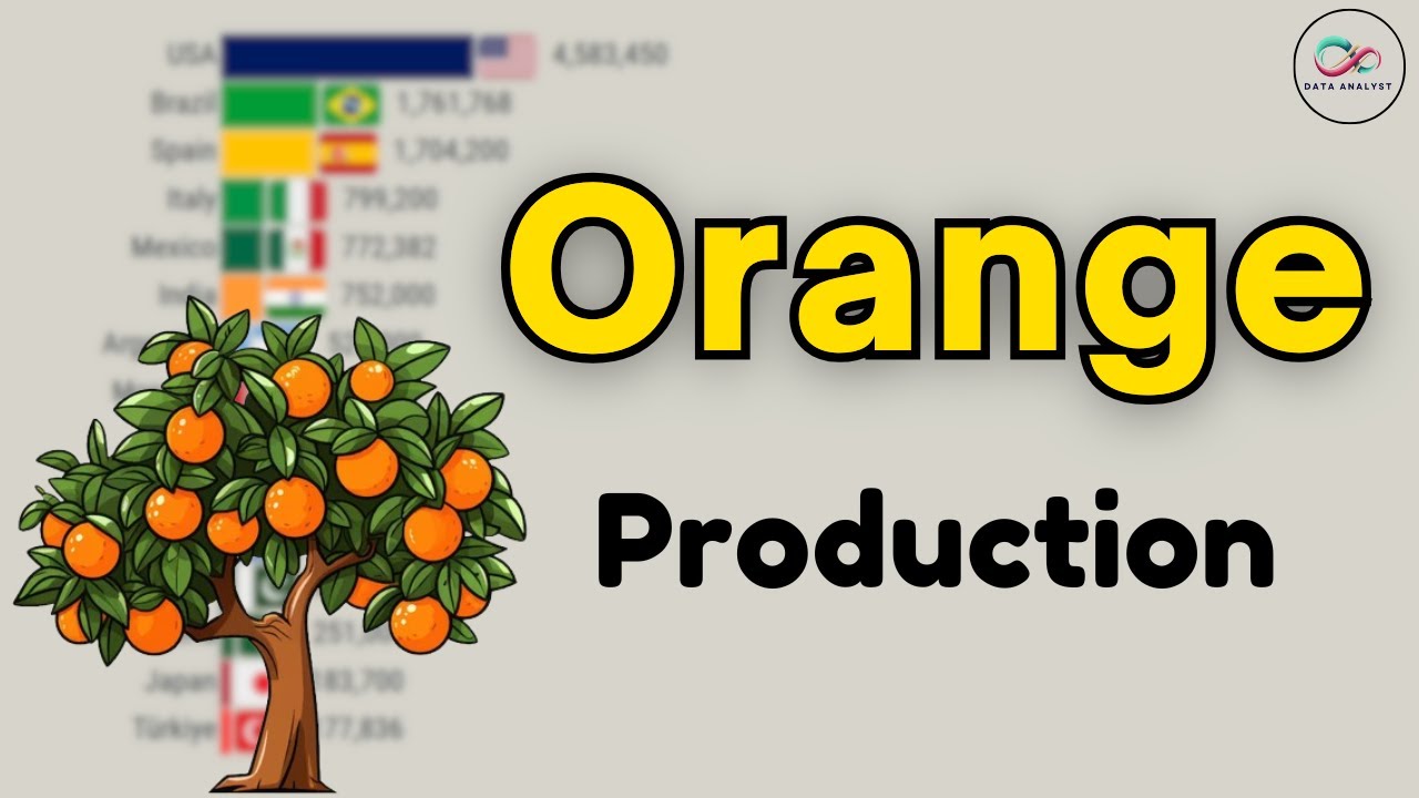 The Top 10 Orange Producing Countries 1961-2025 - YouTube