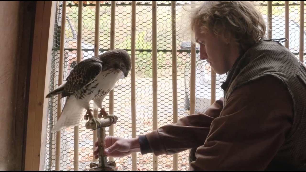 The Falconer - YouTube