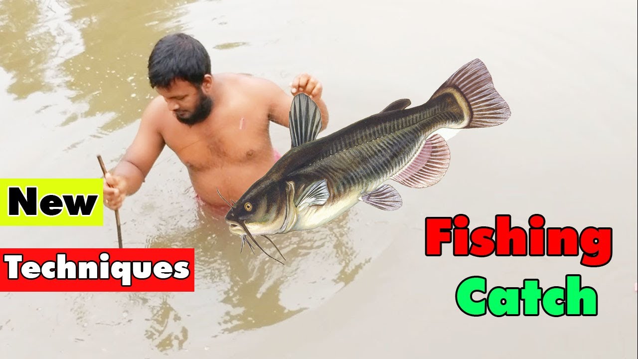 Best Fishing New Techniques Take a Look at Bengali Fish Catching Moment ...