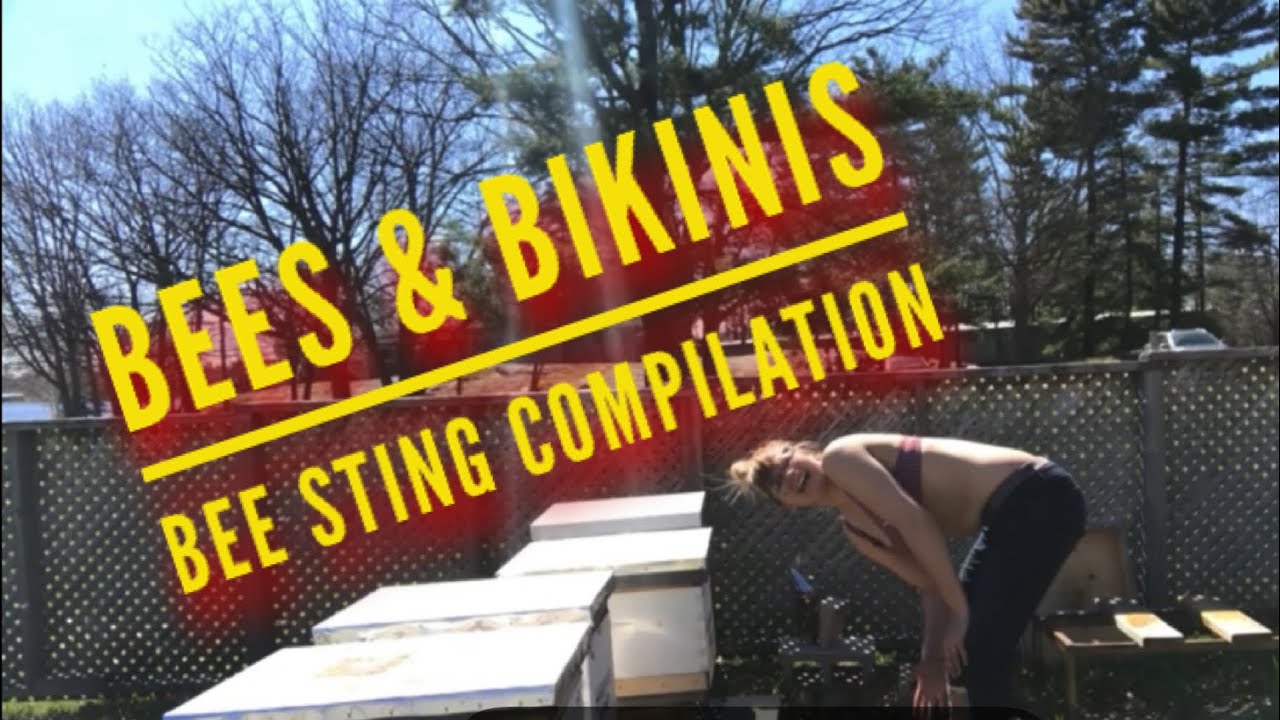 Bees & Bikinis - Girl Beekeeper Getting Stung - Bee Sting Compilation ...
