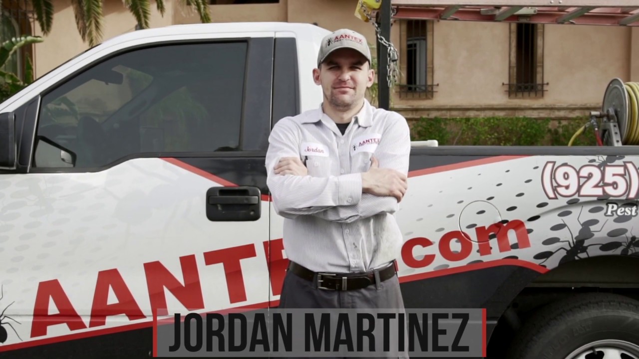 Jordan - Termite Specialist at Aantex Pest Control - YouTube