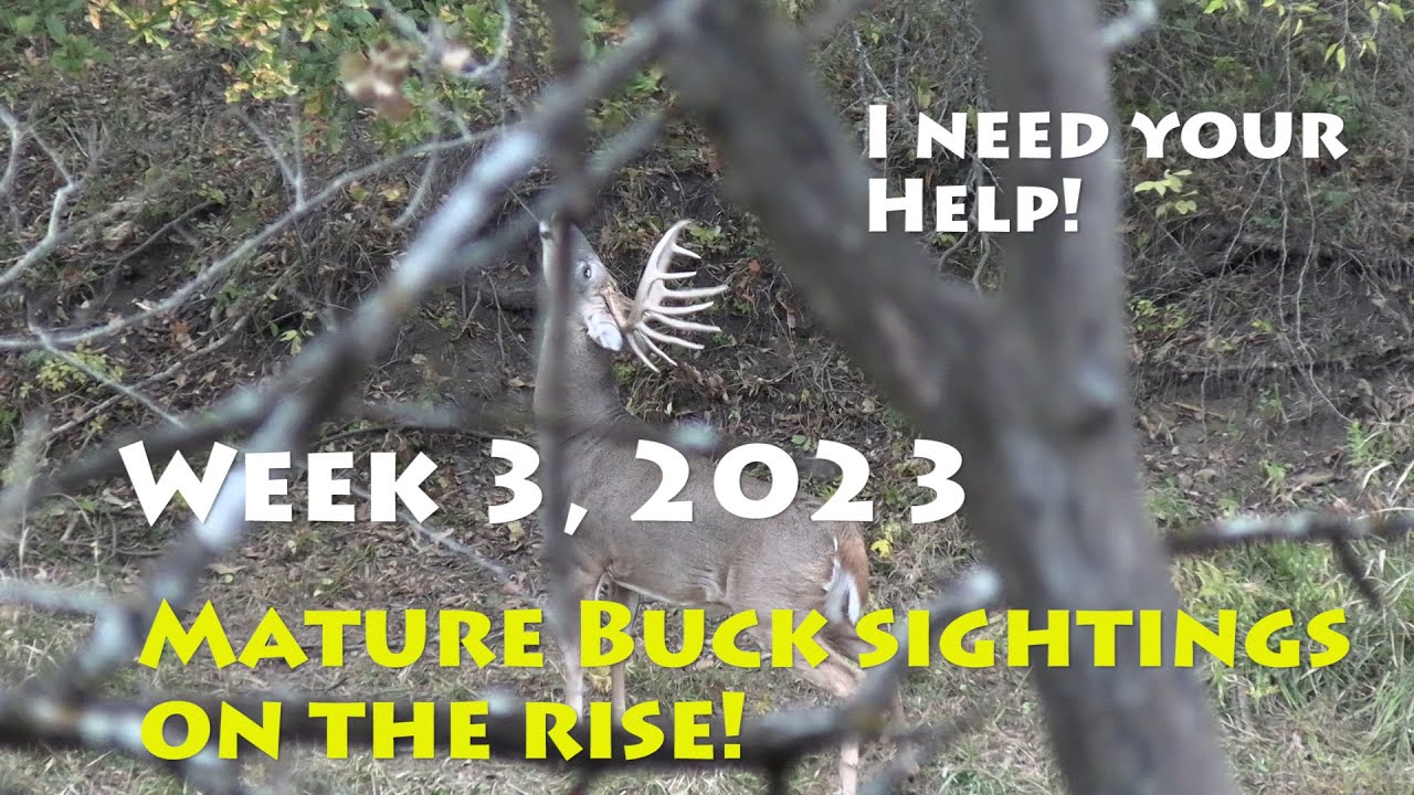 Week 3 2023 I Need Your Help! - YouTube