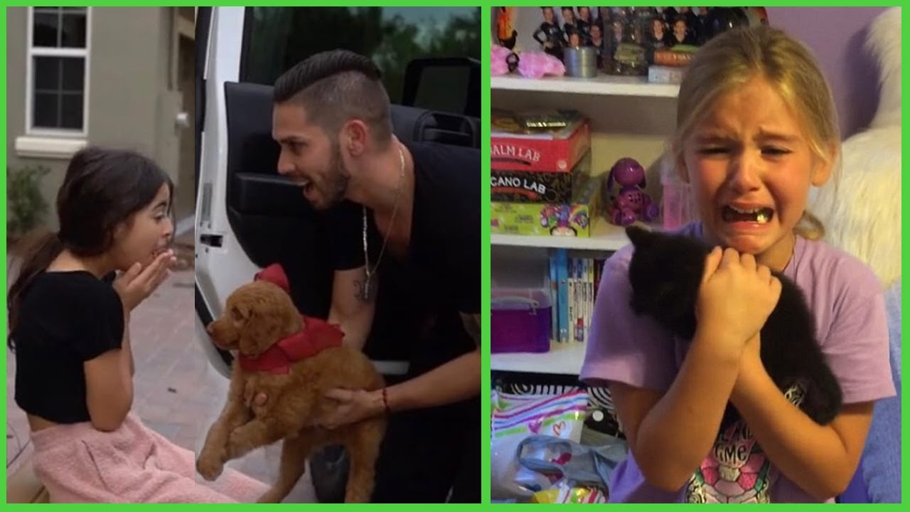 Puppy Surprise Compilation | Dog Surprise Compilation | Try Not to Cry ...