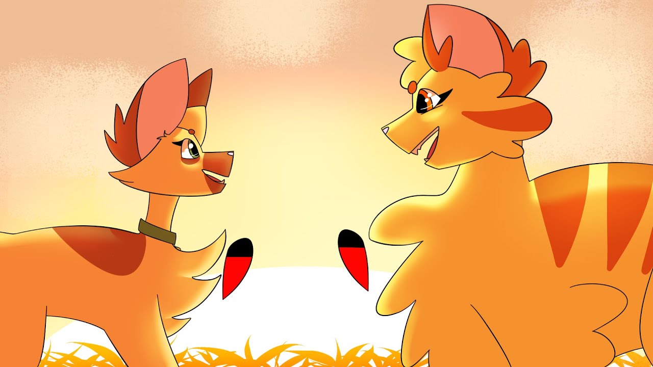 Wouldn t It Be Nice Part 14 YouTube wouldn-t-it-be-nice-part-14-youtube