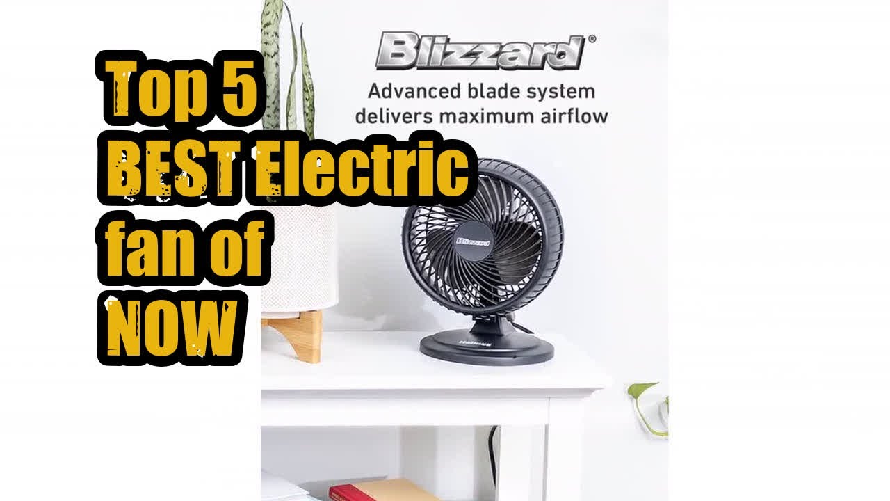 Top 5 BEST Electric fan of NOW - YouTube