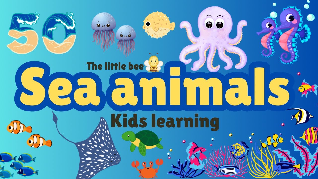 50 Sea Animals, Dive into the Ocean with 50 Sea Animals | Children ...