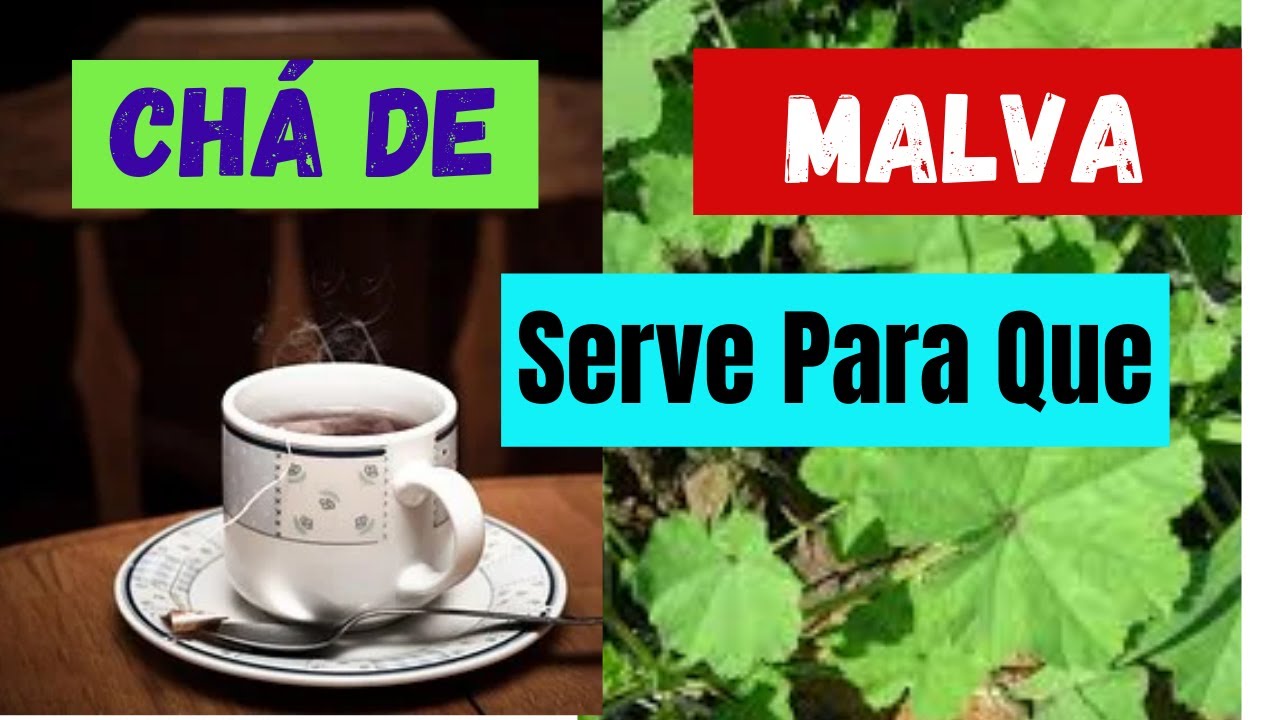9 Benefícios Do Chá De MALVA. 🍵Chá De Malva Para Que Serve? - YouTube