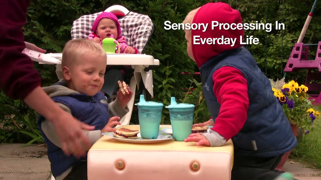 An Introduction to Sensory Processing (Version 2) - YouTube