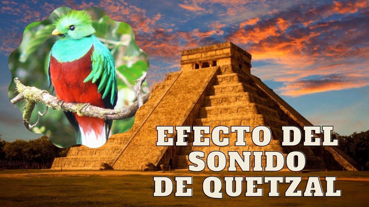 Efecto del sonido de Quetzal en Chichén Itzá 2023 #chichenitza #quetzal ...