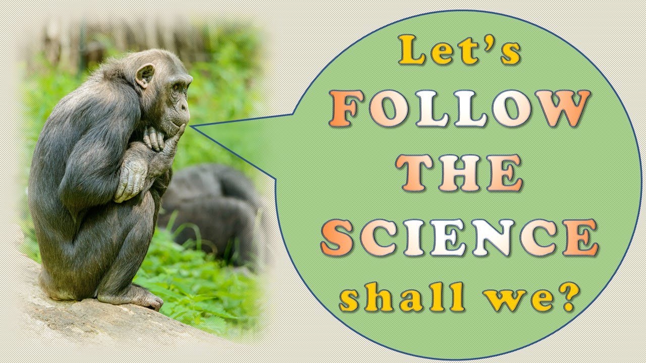 We FOLLOW THE SCIENCE don't we? - Dr Tim Jennings - YouTube