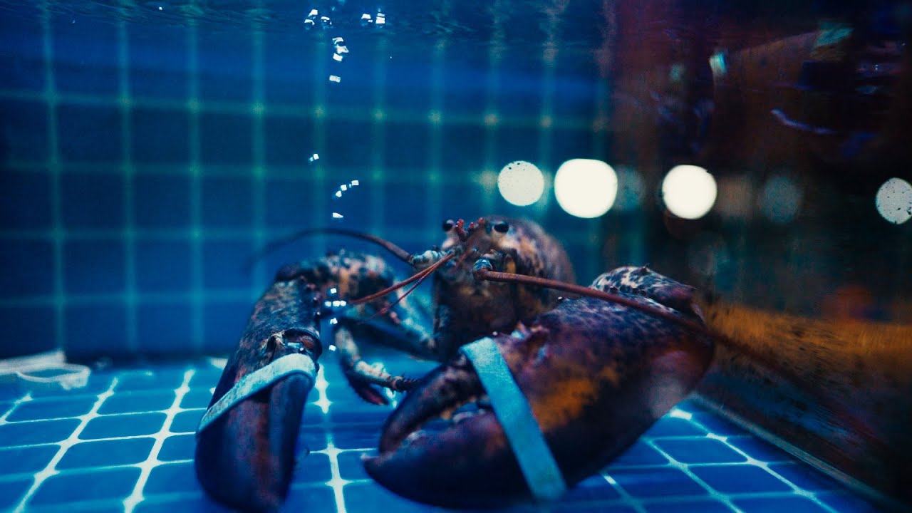 | You Can Find Everything Here | Largest Wholesale Market | Yiwu ...